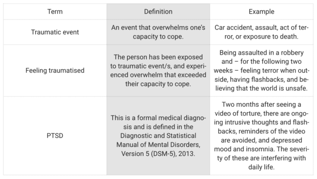 Summit Series: A Vicarious Trauma Guide - Citizen Evidence Lab